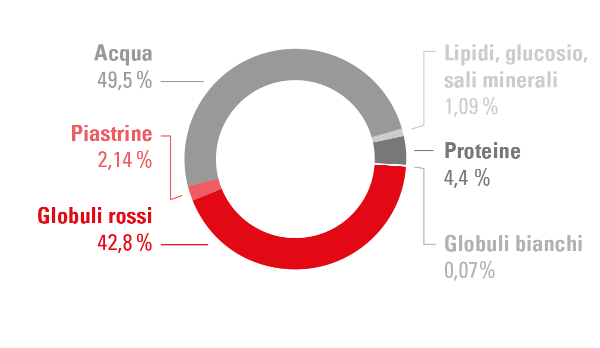Composizione del sangue - Avis Cermenate